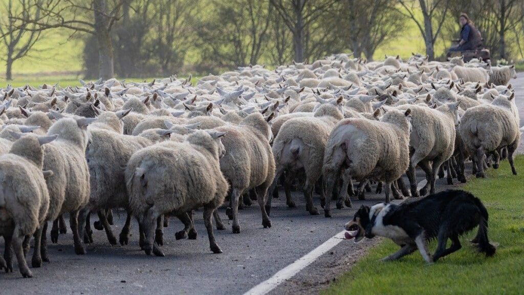 What Does It Mean To Be a Free Country? – New Kontinent